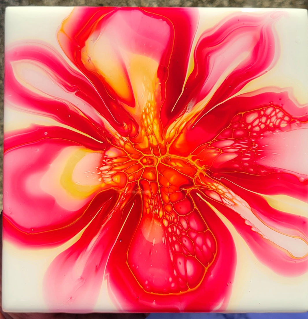 Products – Page 3 – Fluid Flow Expressions